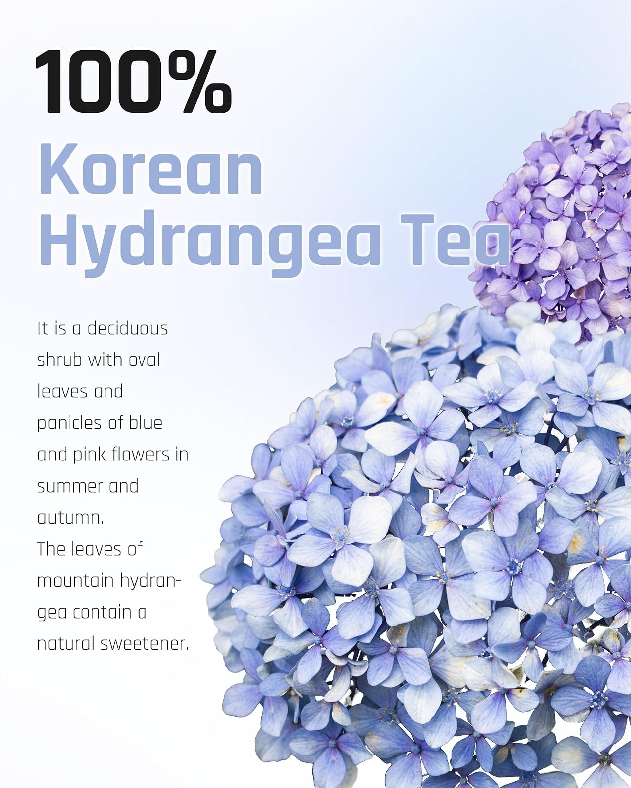 soothing chamomile tea blend