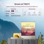 soothing chamomile tea for better sleep