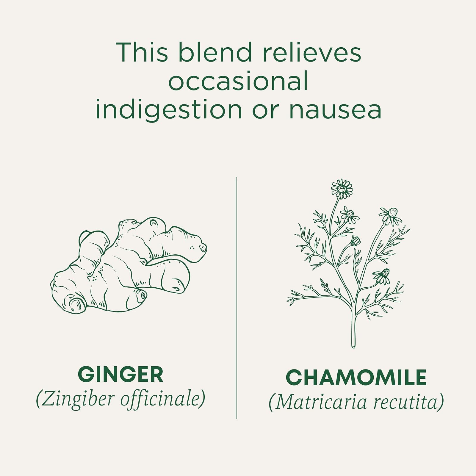 soothing chamomile tea for relaxation