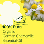 soothing chamomile tea for relaxation