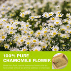 soothing chamomile tea for relaxation