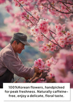 soothing cherry blossom tea experience