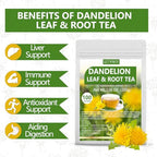 soothing dandelion herbal infusion