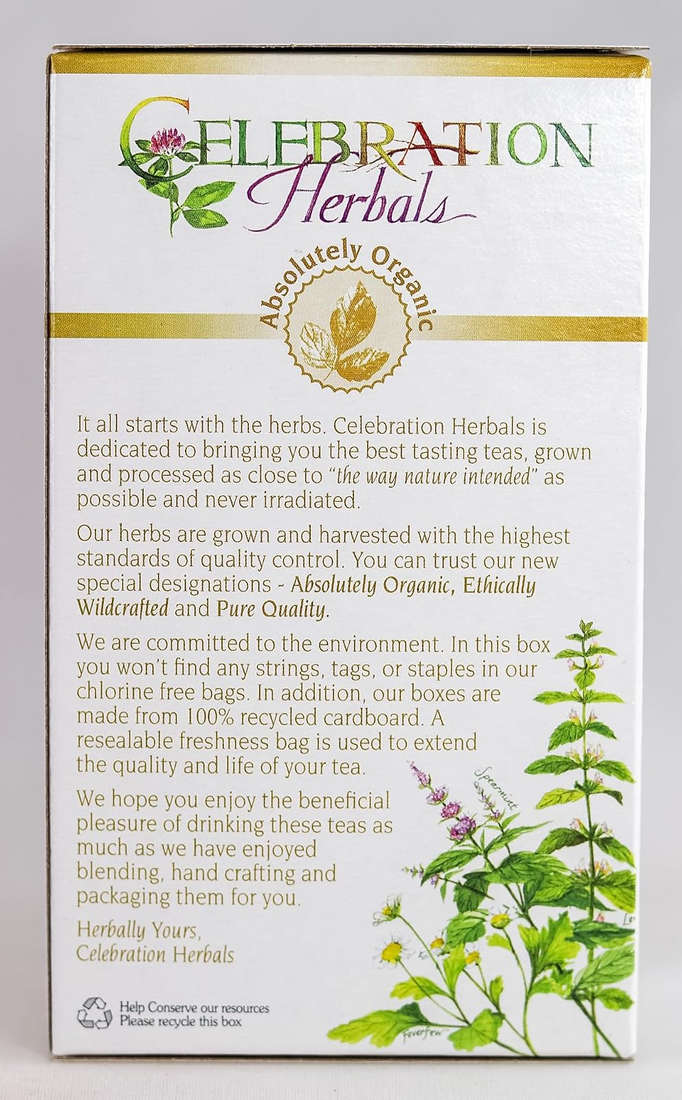 Soothing dandelion root tea experience