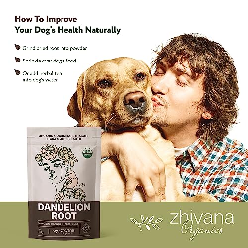 soothing dandelion tea for relaxation