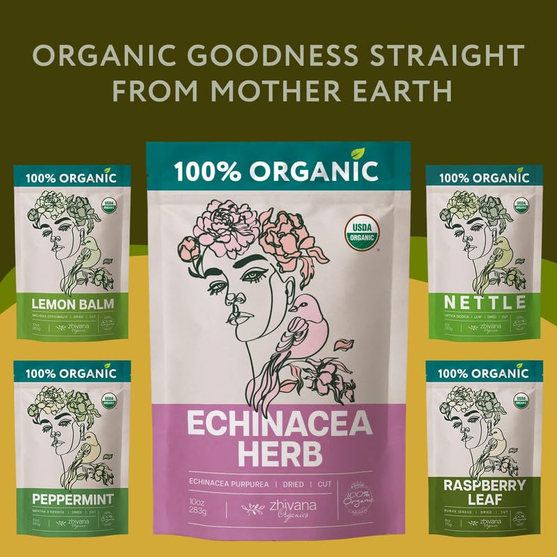 soothing echinacea herb for cold relief