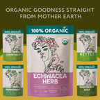 soothing echinacea herb for cold relief