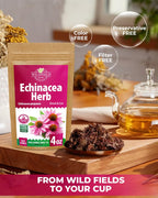 soothing echinacea root infusion