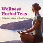soothing echinacea tea bags 50 count