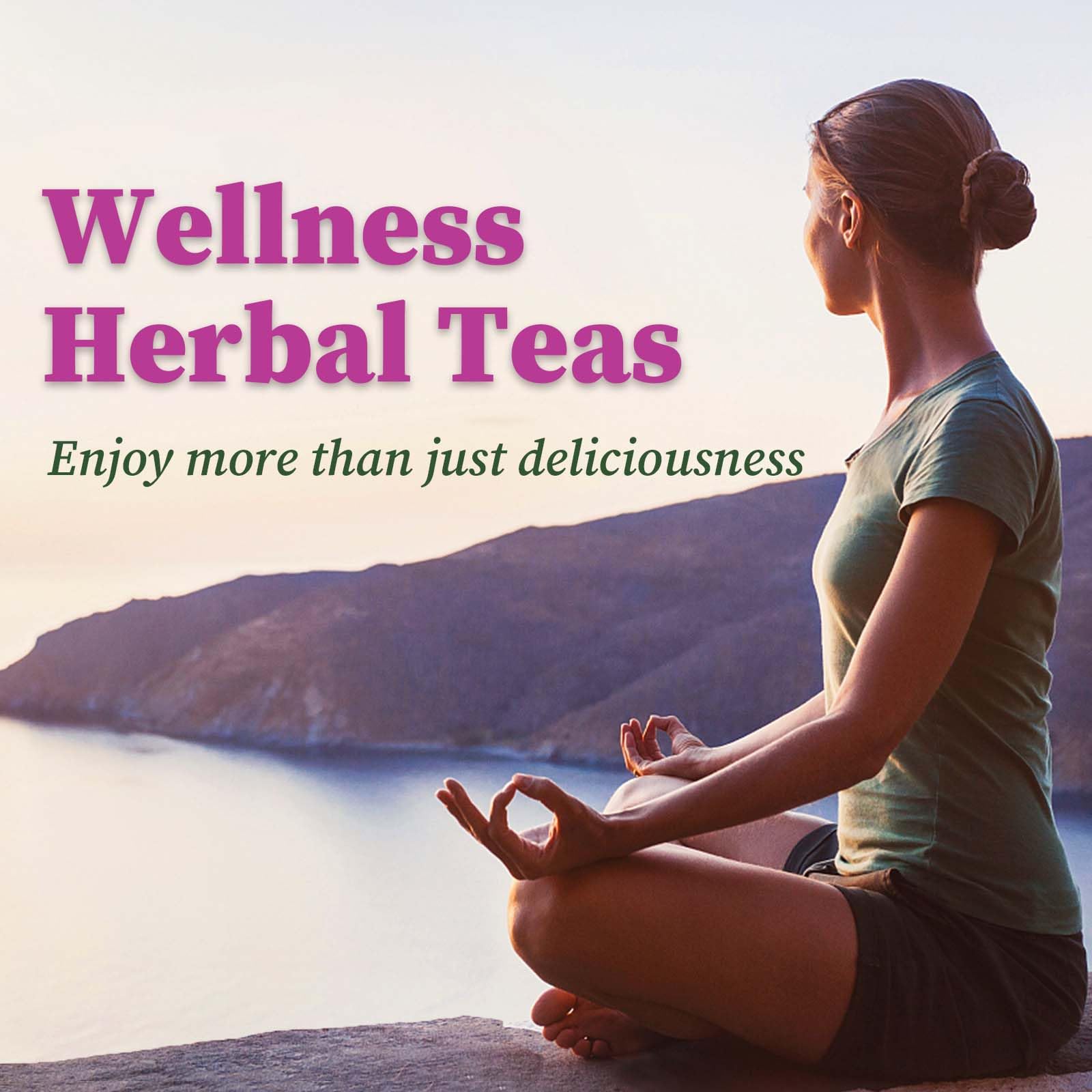 soothing echinacea tea bags 50 count