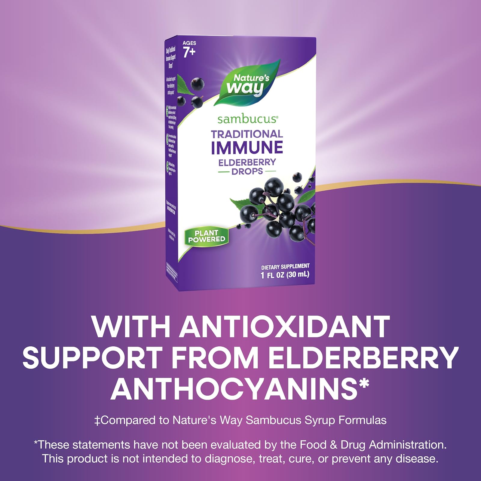soothing elderberry extract for colds