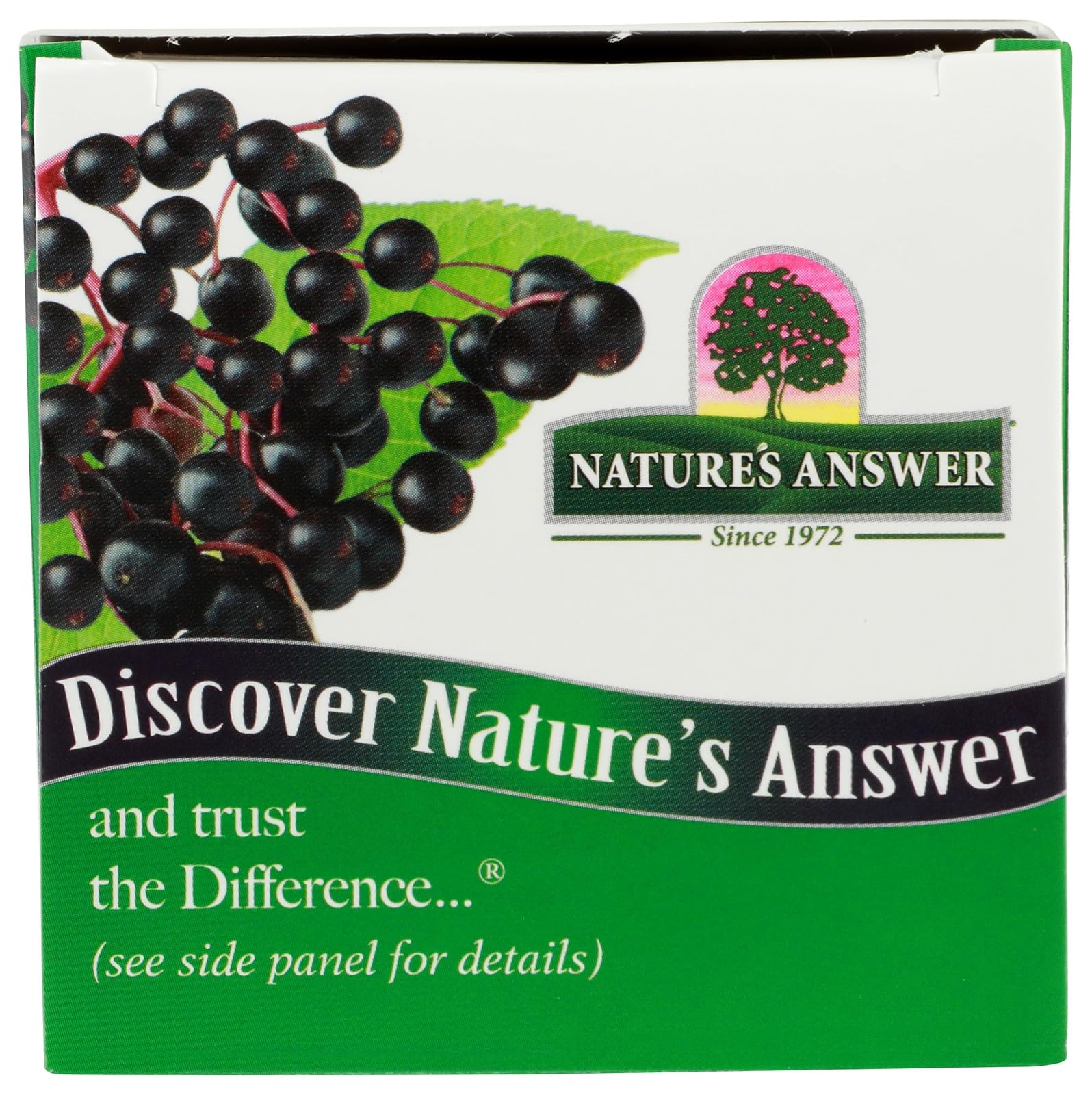 soothing elderberry syrup for colds