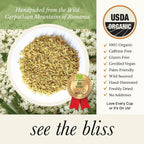soothing elderflower tea for relaxation