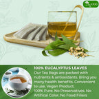 soothing eucalyptus herbal infusion