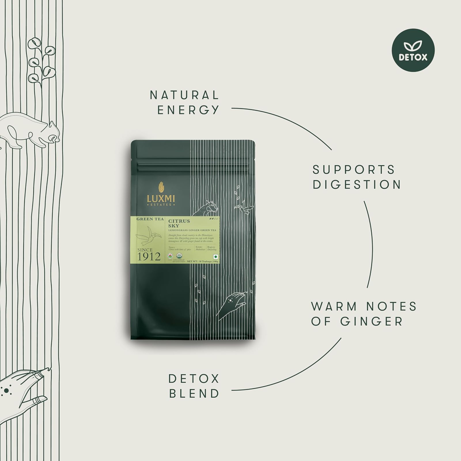 soothing ginger green tea infusion