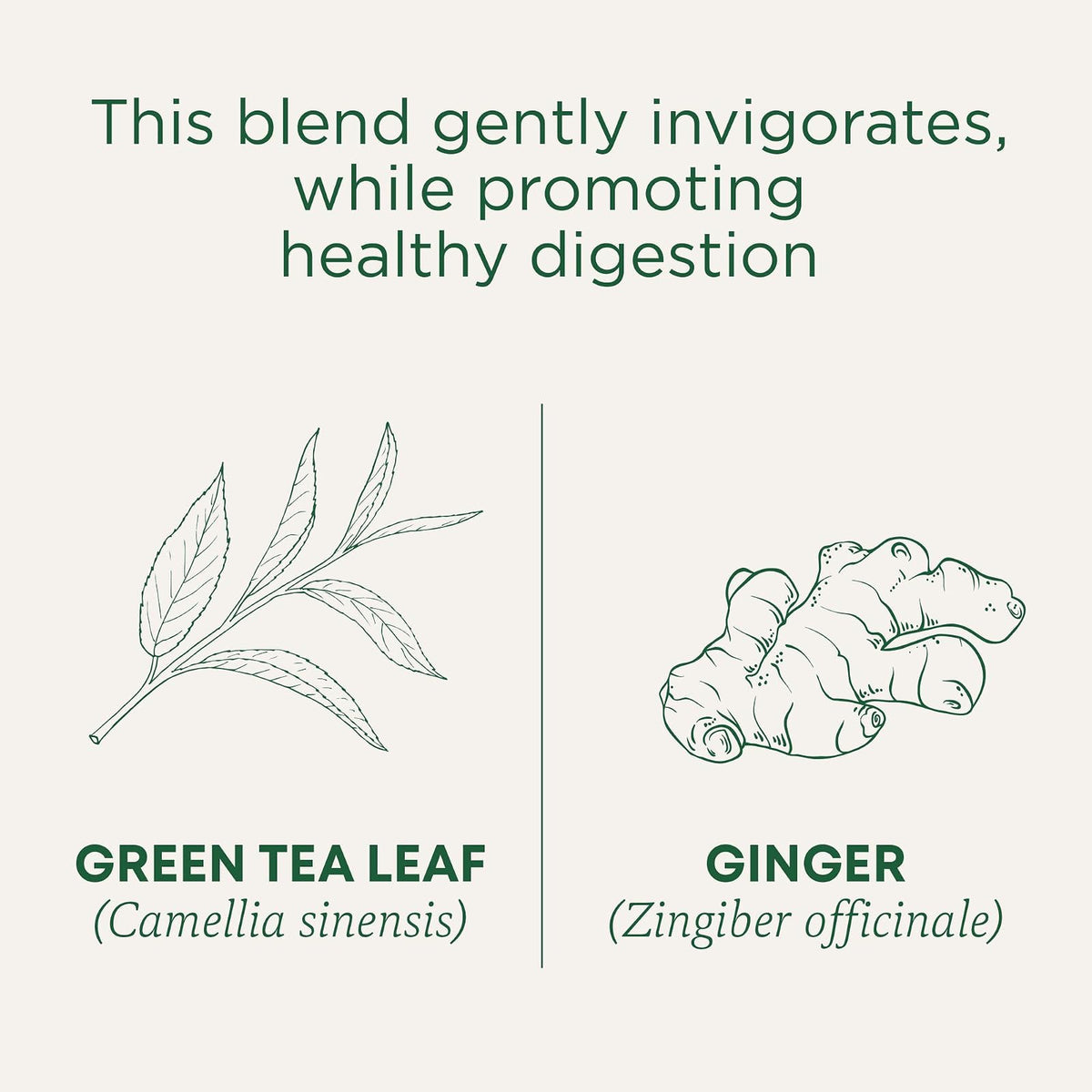 soothing ginger green tea