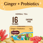 soothing ginger herbal tea bags