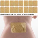 soothing ginger patches for digestive support