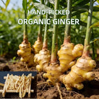 soothing ginger tea blend