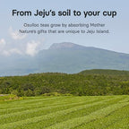soothing ginger tea blend