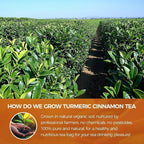 soothing ginger tea for digestion