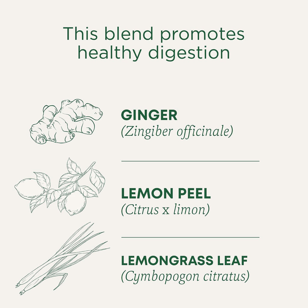 soothing ginger tea for digestion