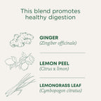 soothing ginger tea for digestion