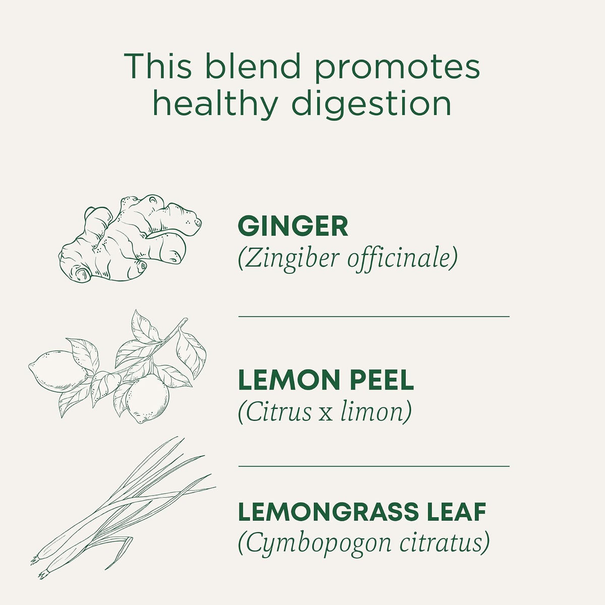 soothing ginger tea for digestion