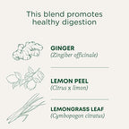 soothing ginger tea for digestion