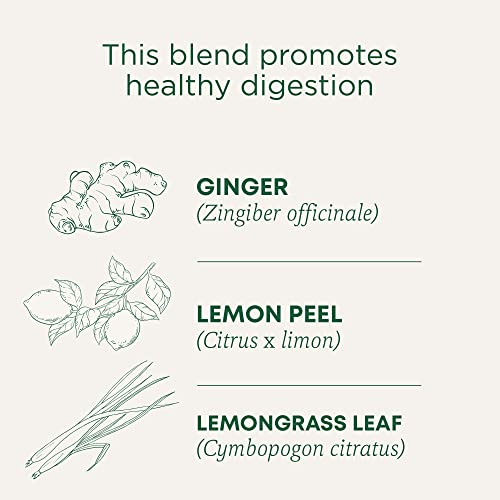 soothing ginger tea for digestion