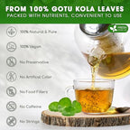 soothing Gotu Kola leaf infusion