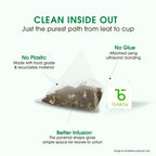 soothing green tea with mint