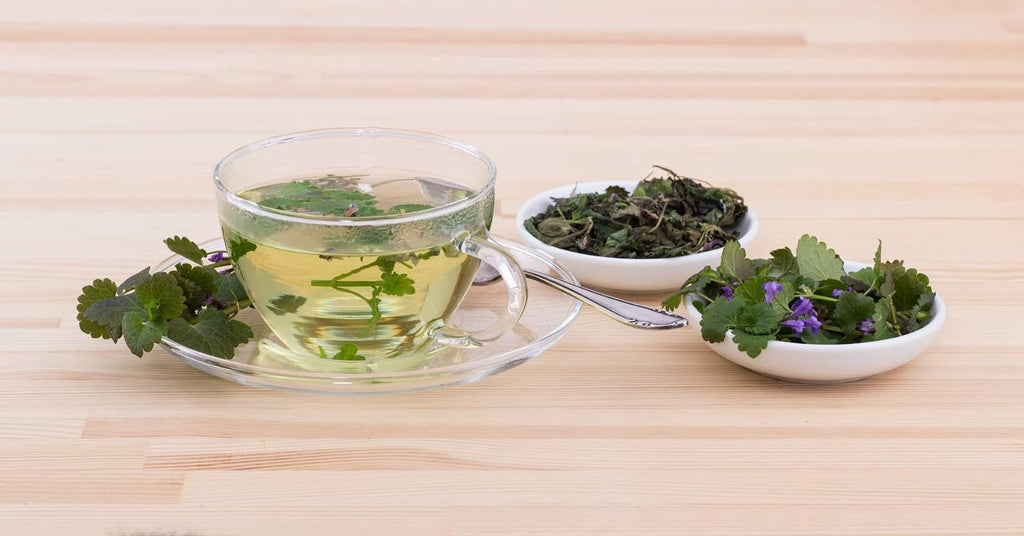 soothing Ground Ivy tea blend