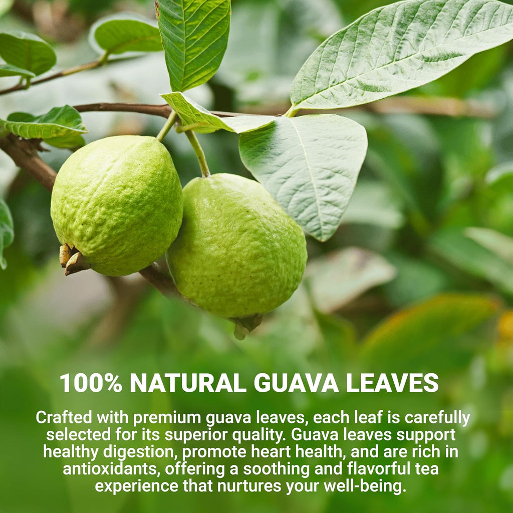 soothing guava leaf herbal infusion