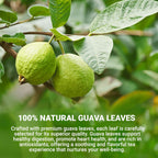 soothing guava leaf herbal infusion