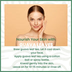 soothing guava leaves for relaxation