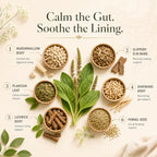 soothing gut herbal detox tea