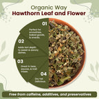 soothing hawthorn leaf tea benefits
