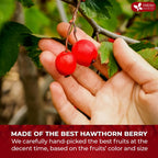 soothing hawthorn tea for relaxation