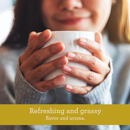 soothing herbal alfalfa infusion