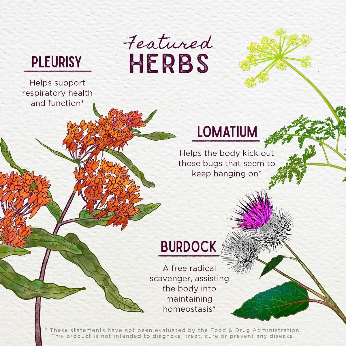 soothing herbal blends for daily use