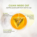soothing herbal detox tea blend