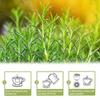 soothing herbal detox tea