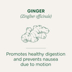 soothing herbal ginger infusion