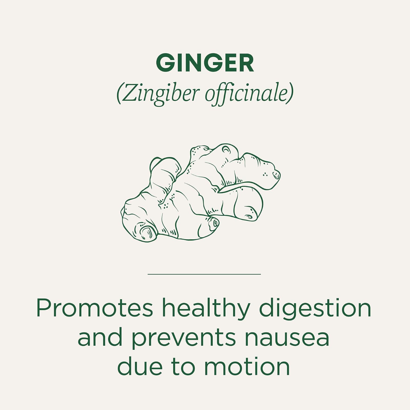 soothing herbal ginger infusion