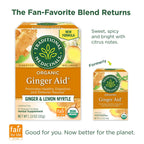soothing herbal ginger infusion