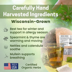soothing herbal infusion bags