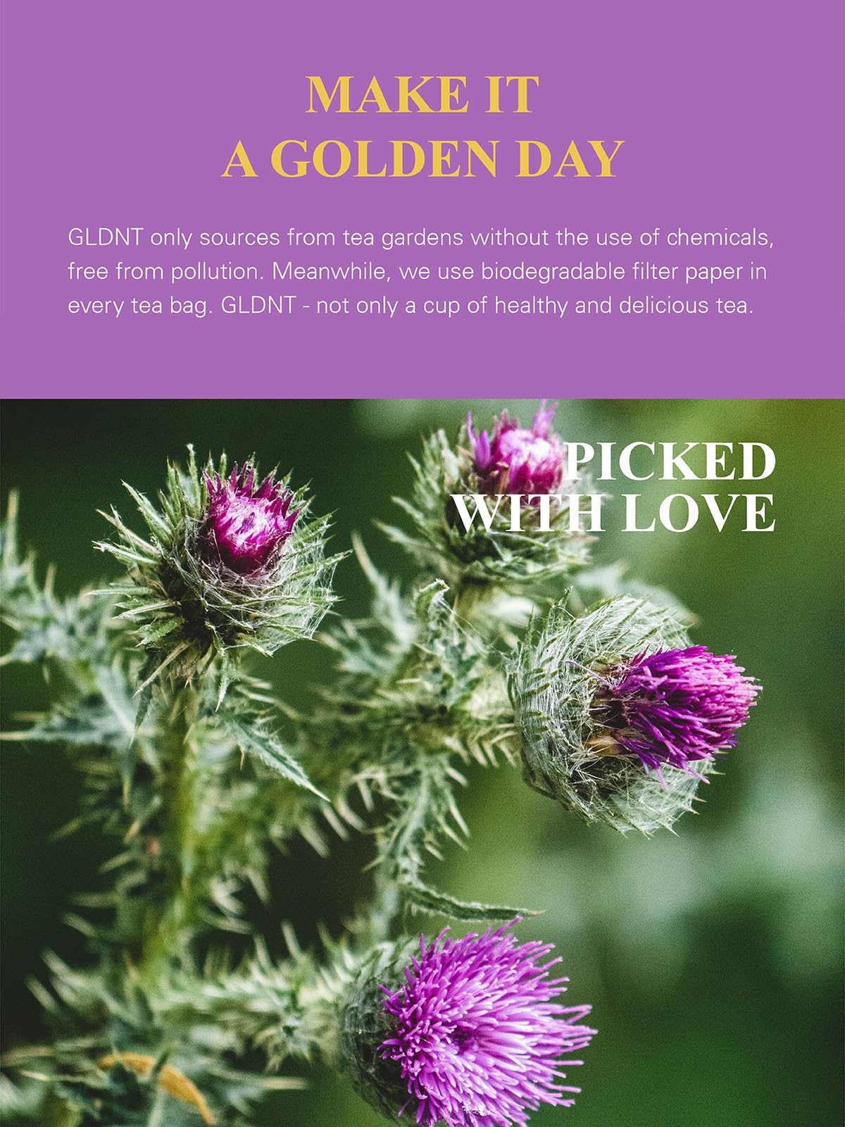 soothing herbal infusion for wellness