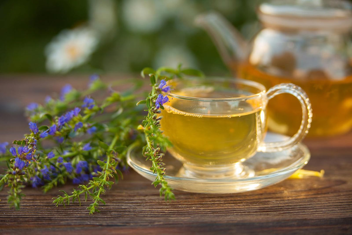 soothing herbal infusion with hyssop