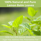 soothing herbal lemon balm tea